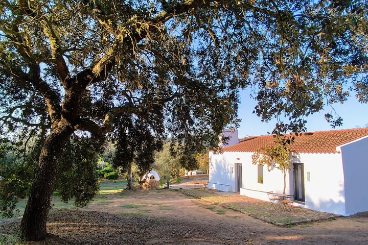 Casa Rural Con Piscina Privada Y Huerta Ecológica - Arronches