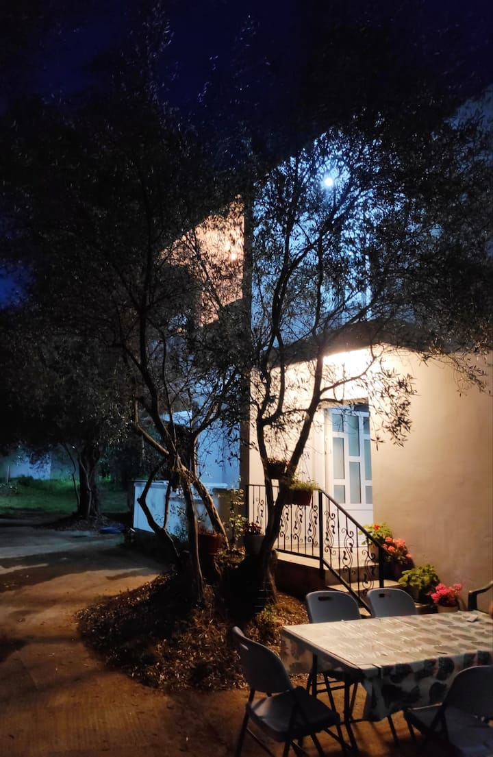 Apartmani Amb, 100m Od Plaže, Mir I Komfor. - Montenegro