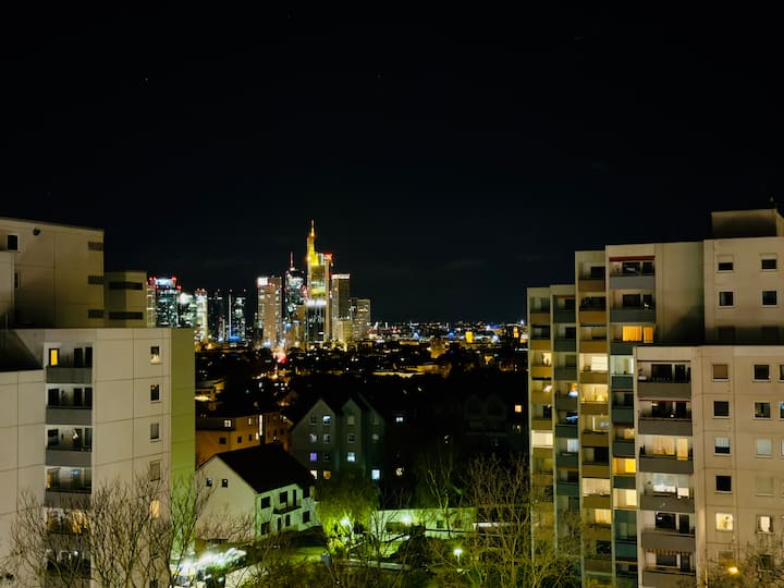 Views Of The Buildings Of Frankfurt. - Frankfurt am Main