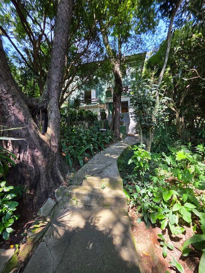 Quatro Chalés Na Maior Floresta Urbana Do Mundo - Rio de Janeiro
