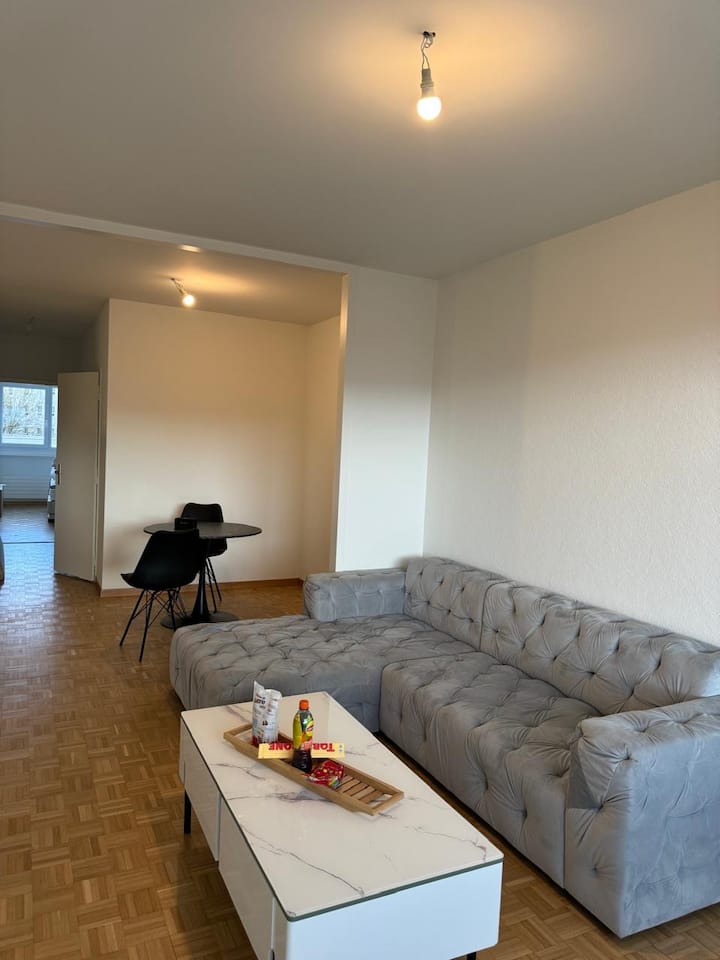 Magnifique Appartement à Carouge - Carouge