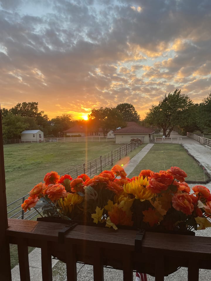 Guesthouse And Barn Loft On Private Horse Property - Rowlett, TX