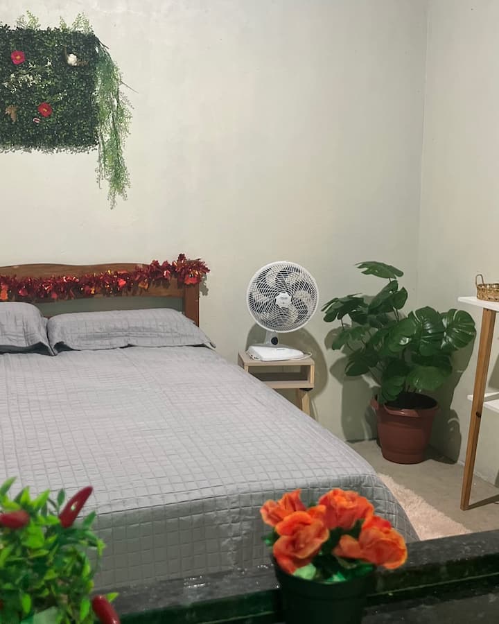 Recanto Da Lagoa – Seu Refúgio De Paz E Conforto - Parnaíba