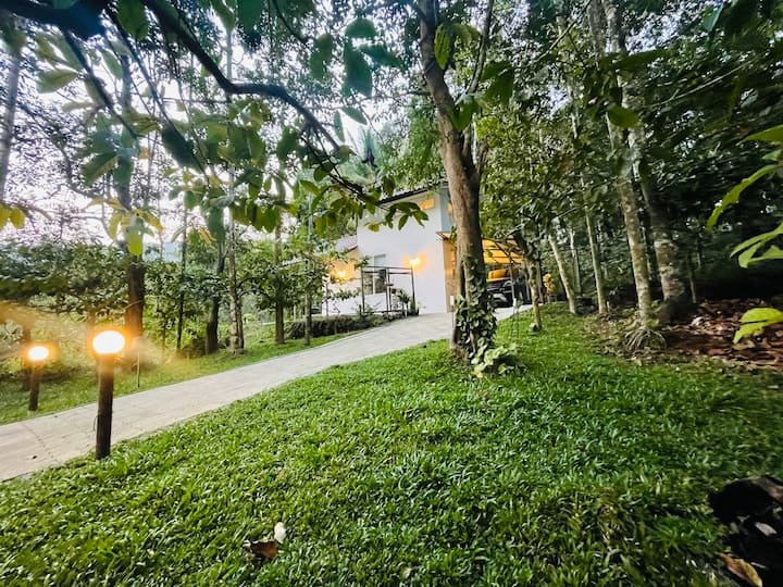 The Perch At Druv Dakshin Farms - Wayanad