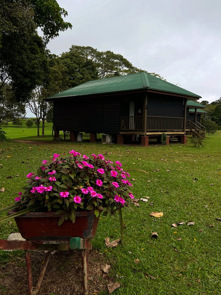 Mabi Village - Yungaburra