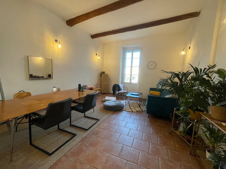 Appartement Plein Centre - Vaison-la-Romaine