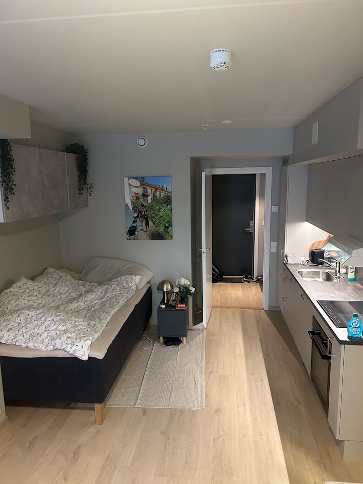 Fin Og Moderne 1 Roms-leilighet - Trondheim