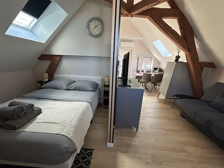 Nid Cosy Et Climatisé Avec Vue Château D’amboise - Amboise