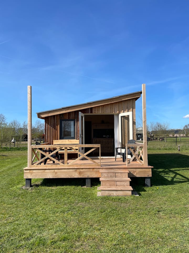De Koolmees _ Tussen De Wilgen - Apeldoorn