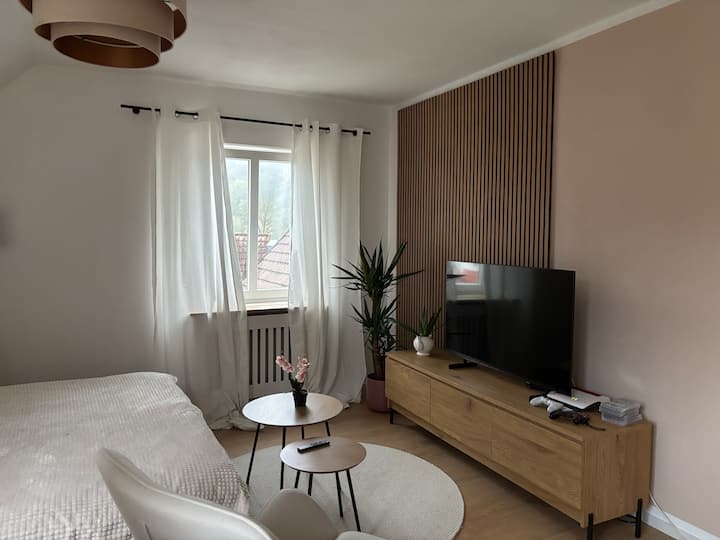 Designwohnung Mit Balkon Ruhig & Nah Uni/klinikum - Tübingen