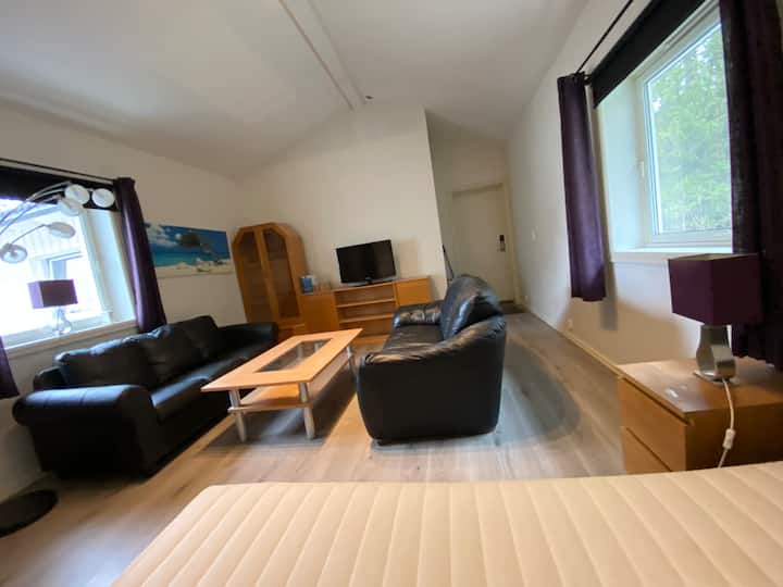 Stor Studioleilighet - Trondheim