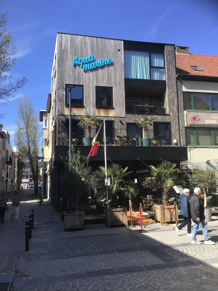 Duplex Appartement Gelegen Aan De Vissershaven - Ostend