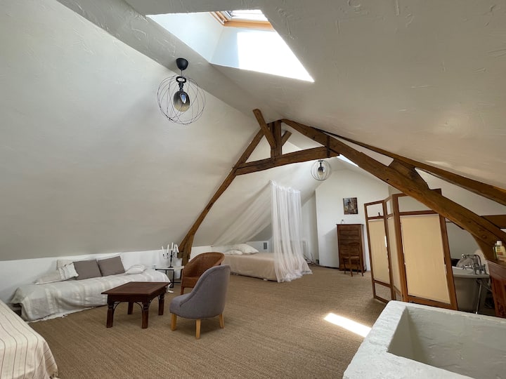 Suite Parentale Spacieuse - Villers-Cotterêts