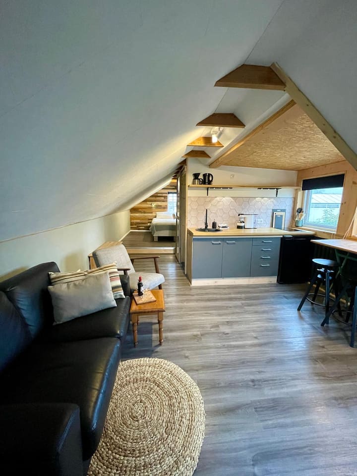 Het Zwaluwnest - Apeldoorn