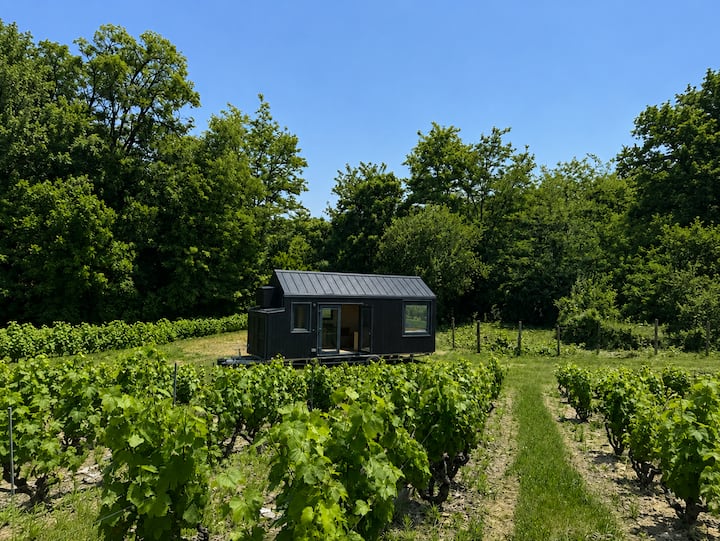 Parcel Tiny House - Dans Les Vignes Du Beaujolais - Blacé