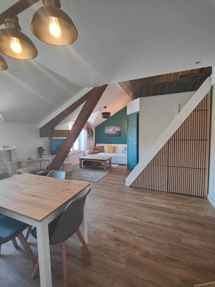Studio Cosy En Plein Centre De Foix - Foix