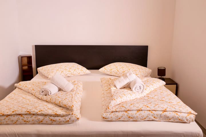 Savoya Old Town Apartment - Timișoara