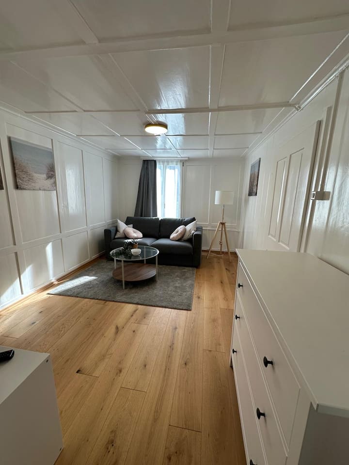 Renoviertes Apartment Mit Appenzeller Charme - Appenzell