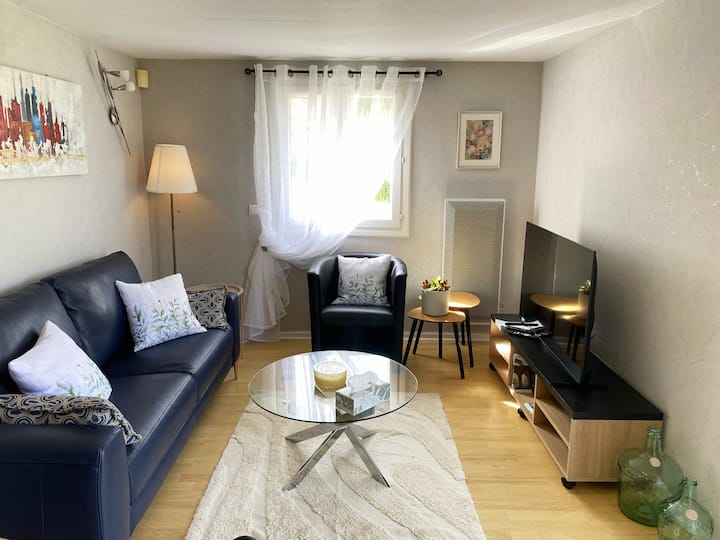 Gîte Avec Vue Exceptionnelle - Salins-les-bains - Salins-les-Bains