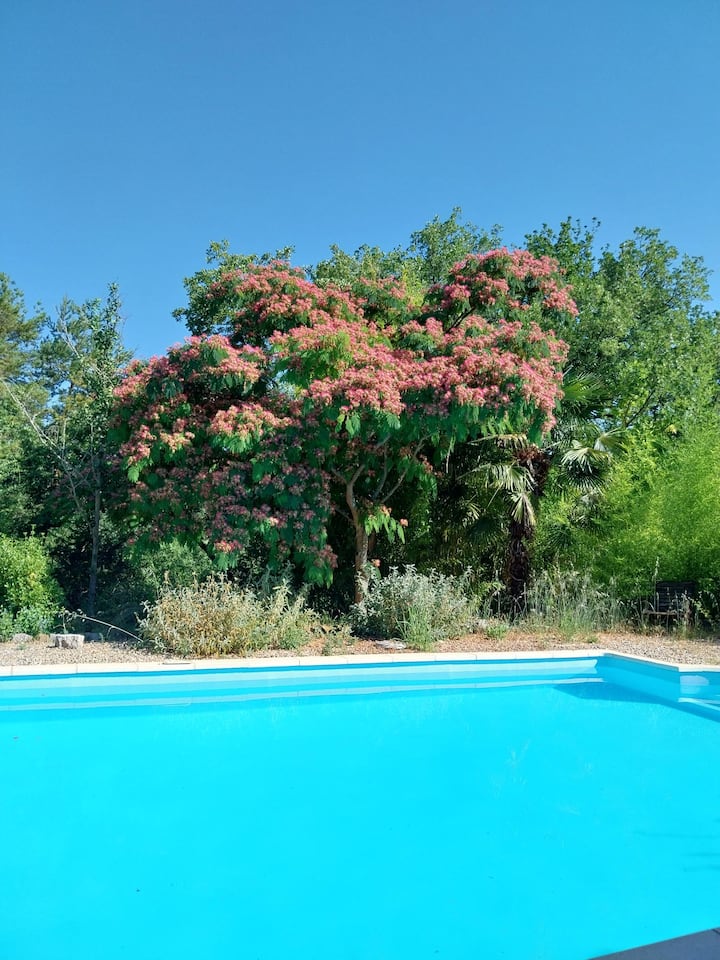 Gîte - Rustrel - Rustrel