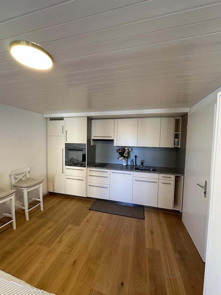 Neu Renoviertes Studio Zentral In Appenzell - Appenzell