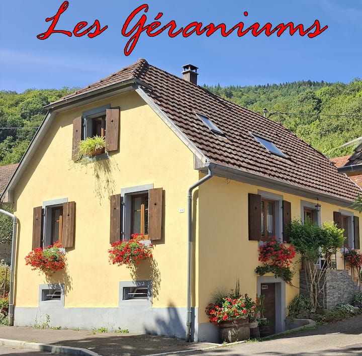 Maison Les Géraniums Parking Privé - Guebwiller