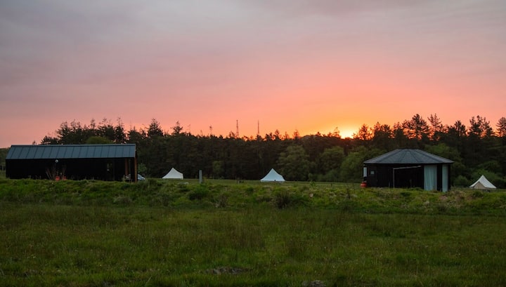 Luxury Pod With Hot Tub At Forest Edge Glamping - Honiton