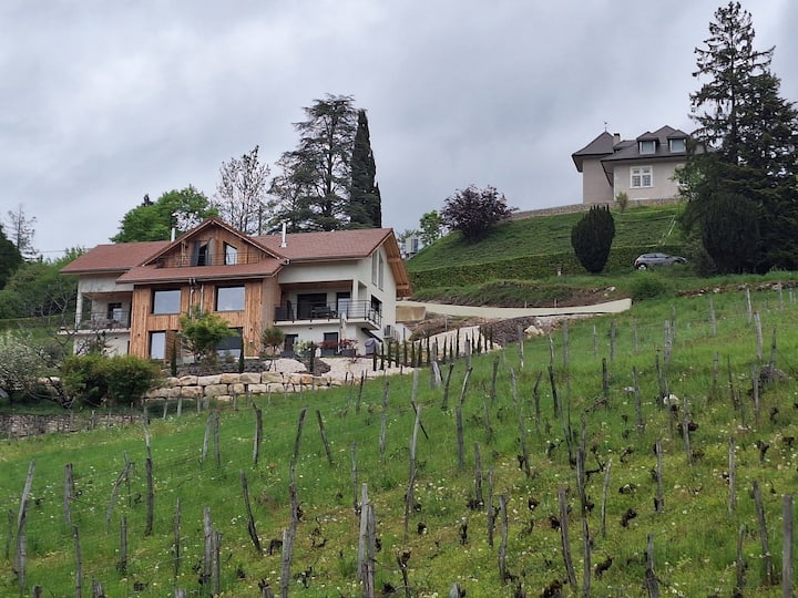 Vignoble De Clarafond, - Aix-les-Bains