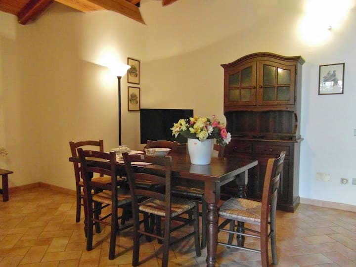 Agnese 3 Casetta Con Aria Condizionata - Castagneto Carducci