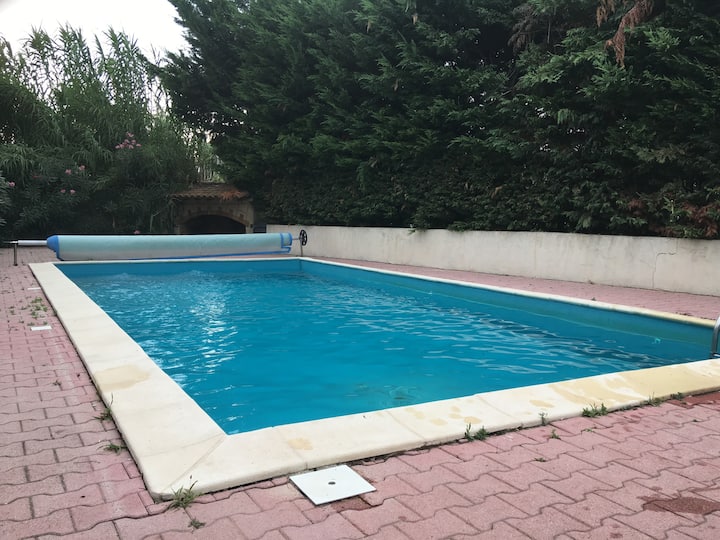 Chez Un Ornithologue En Camargue - Saintes-Maries-de-la-Mer