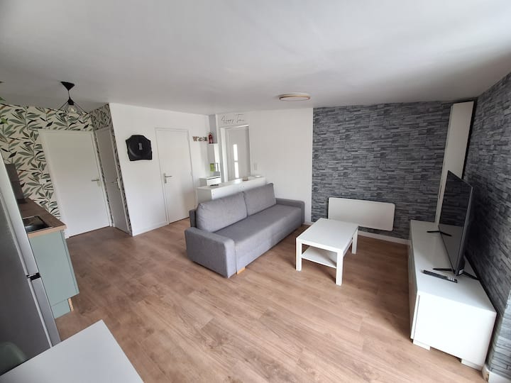 Maison Confort Avec Jardin - Carvin