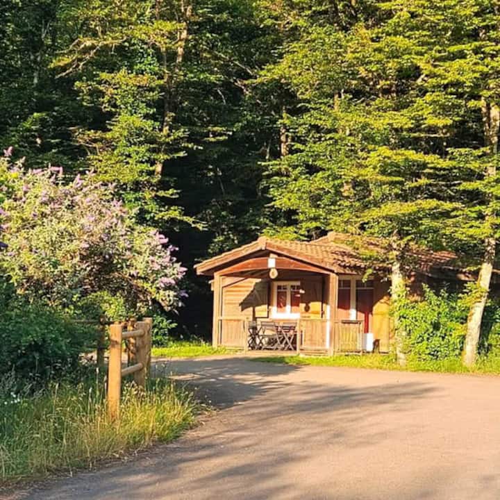 Chalet Mirabelle Pmr - Les Chalets Du Lac - Amnéville