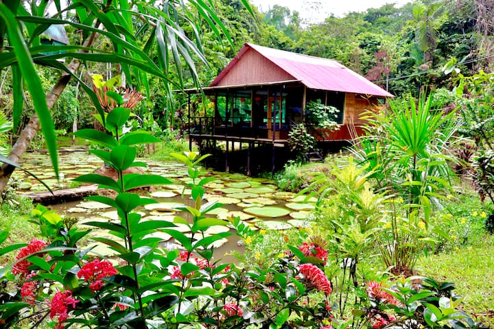 Cabaña Lago Victoria Regia - Amazonas, Colombia