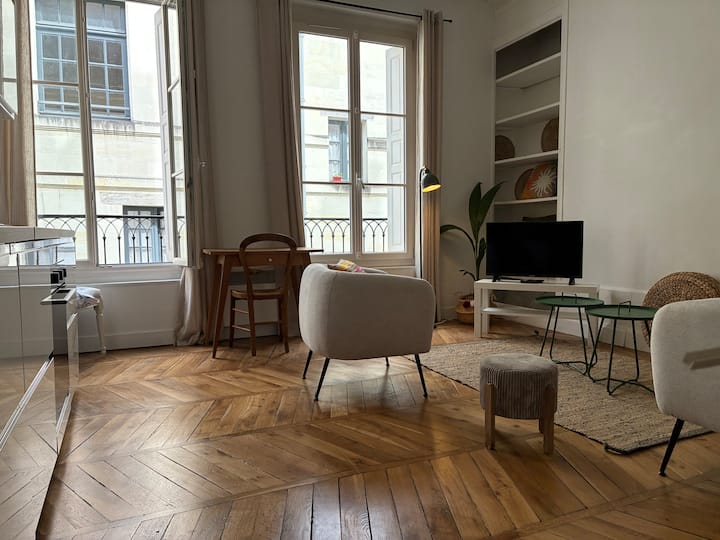 Elégant Appartement Rue Rapin, Hyper Centre. - Tours