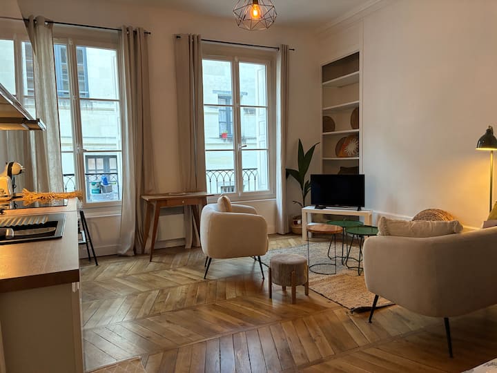 Rue Rapin, éLégant Appartement, Hyper Centre. - Tours