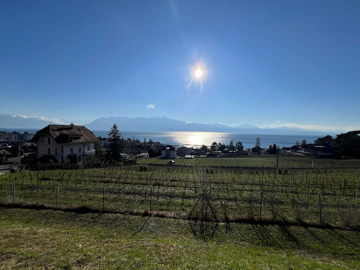 Superbe Studio Lausanne ! - Bussigny