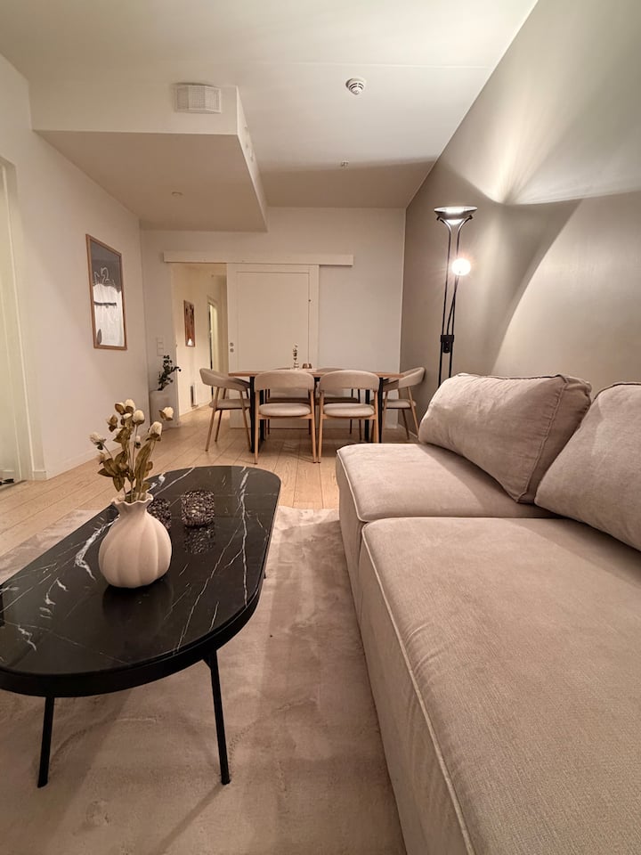 Spacious 2br With Terrace Next To Munch Museum - Oslo