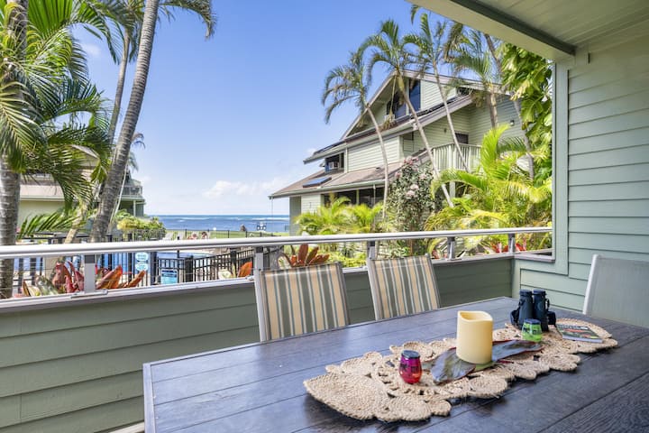 Spacious 3 Bed/3 Bath Oceanview Condo In Kahana - Maui, HI