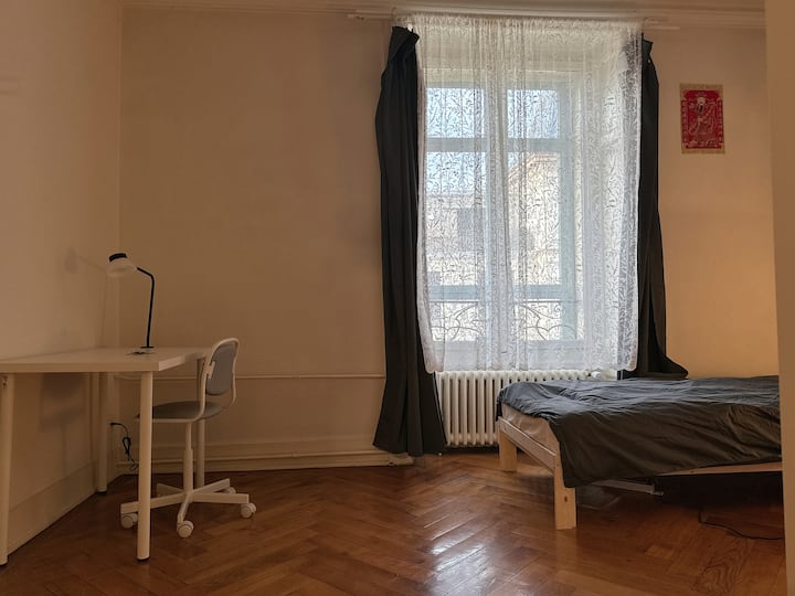 日内瓦市中心Student&travel Nest Roomc 2 Beds@eaux-vives - Geneva