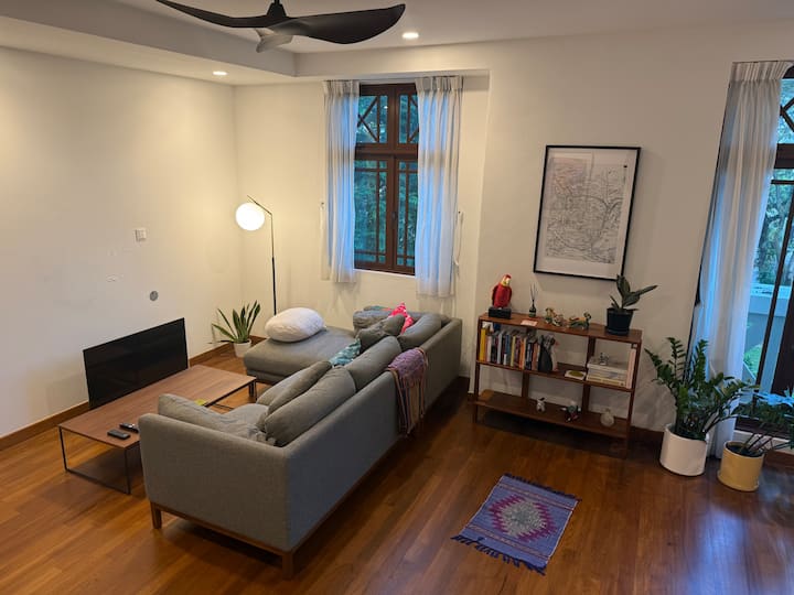 Spacious Leafy Condo In River Valley/new Bahru. - Singapour