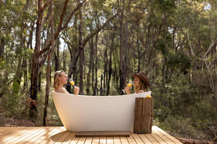 Tiny Phoebe - Southern Highlands - Buxton