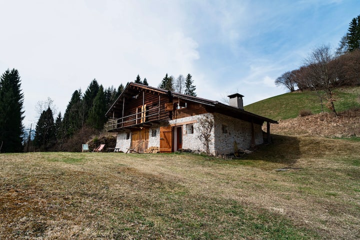 Chalet Strina – Rifugio Privato Nel Bosco - San Martino di Castrozza