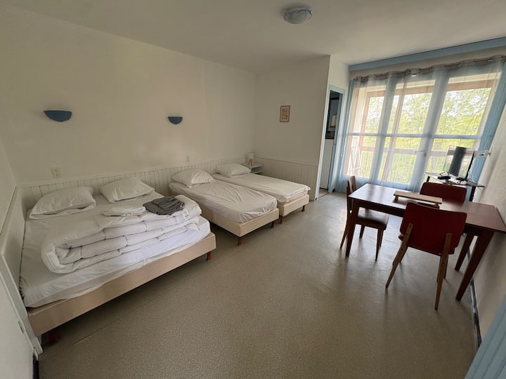 Bel Appartement T1 Spacieux 4 Couchages - Barbotan les Thermes