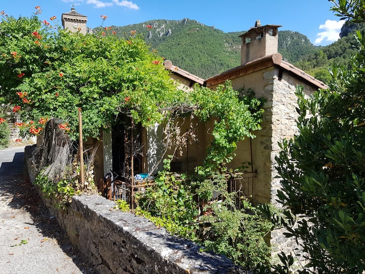 Rives Du Tarn - Gorges du Tarn