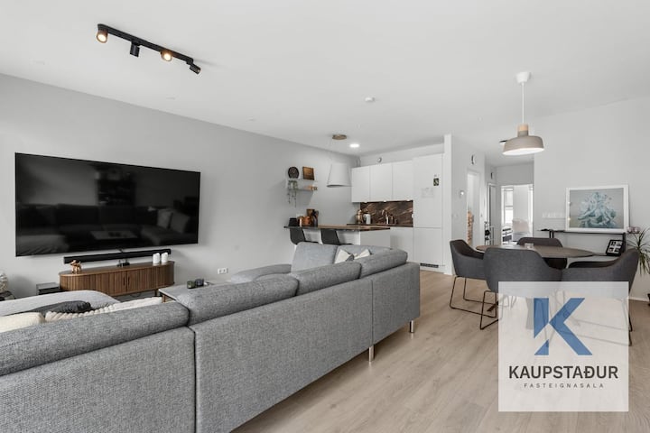 Two Bedroom Apartment - Great Area In The Capital - Reikiavik