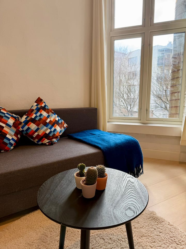 Hybelleilighet I Hjertet Av Oslo - Oslo