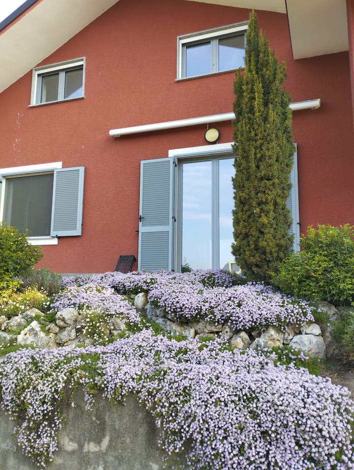 Dragonfly House - Alloggio In Casa Bifamigliare - Piscina