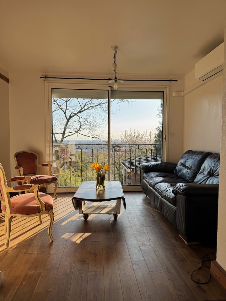 Vue Imprenable Sur Lyon / Terrasse Et Jardin - Dardilly