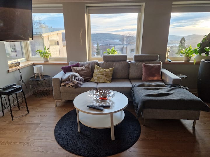 Nejlikehills - Sundsvall