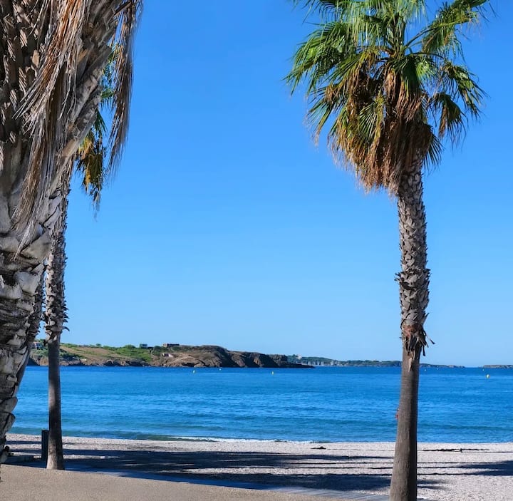 Villa Climatisée 10 Pers- Mer à Pied & Sanary - Sanary-sur-Mer